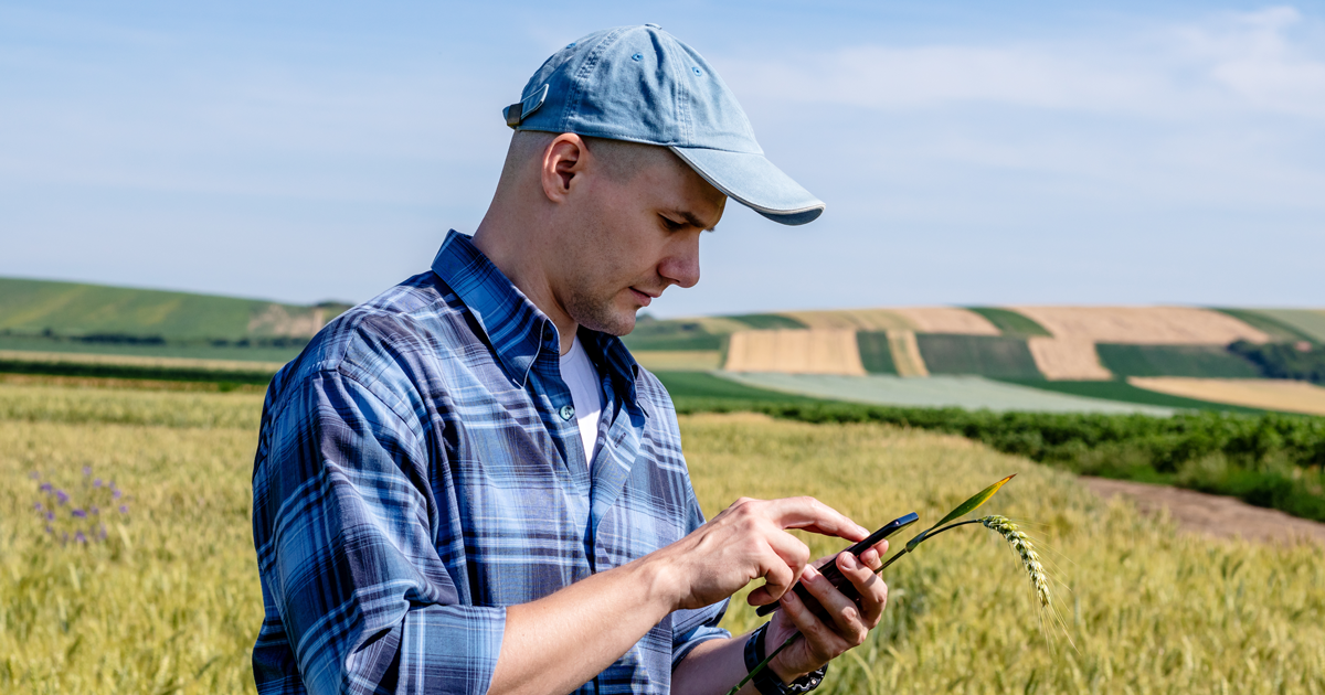 Best Crop Yield Estimation Techniques - Scaleit USA